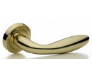 Manital Pisa Door Lever handle in Brass from Cheshire Hardware Official ...